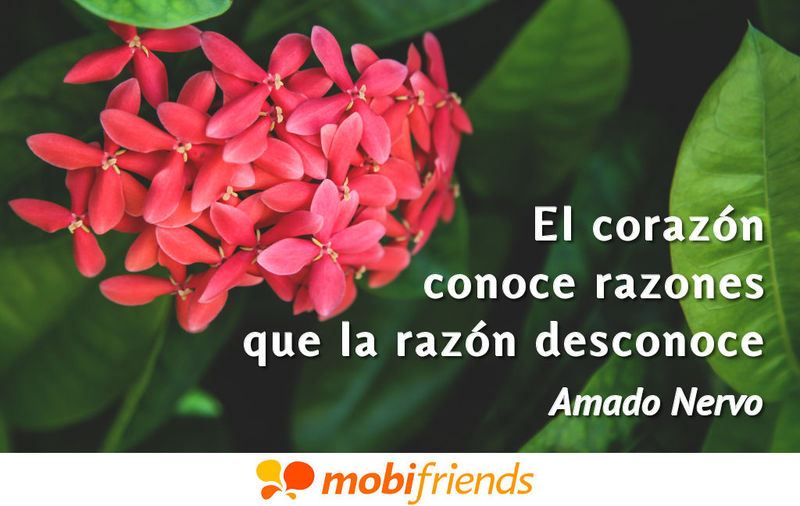 El corazón conoce razones que la razón... - Frases de amor